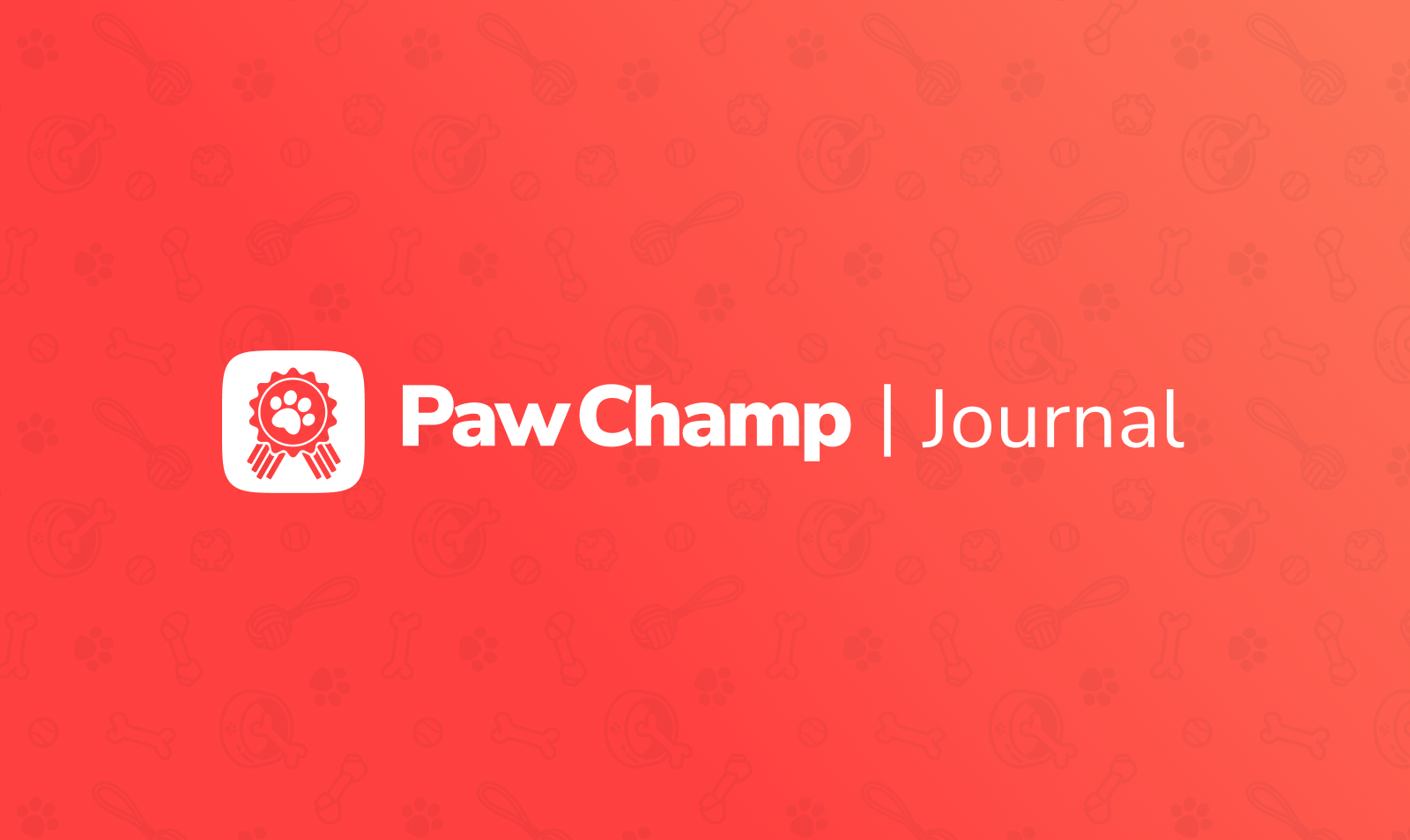 Giornale di PawChamp — Scopri di più su cura del cane e addestramento canino